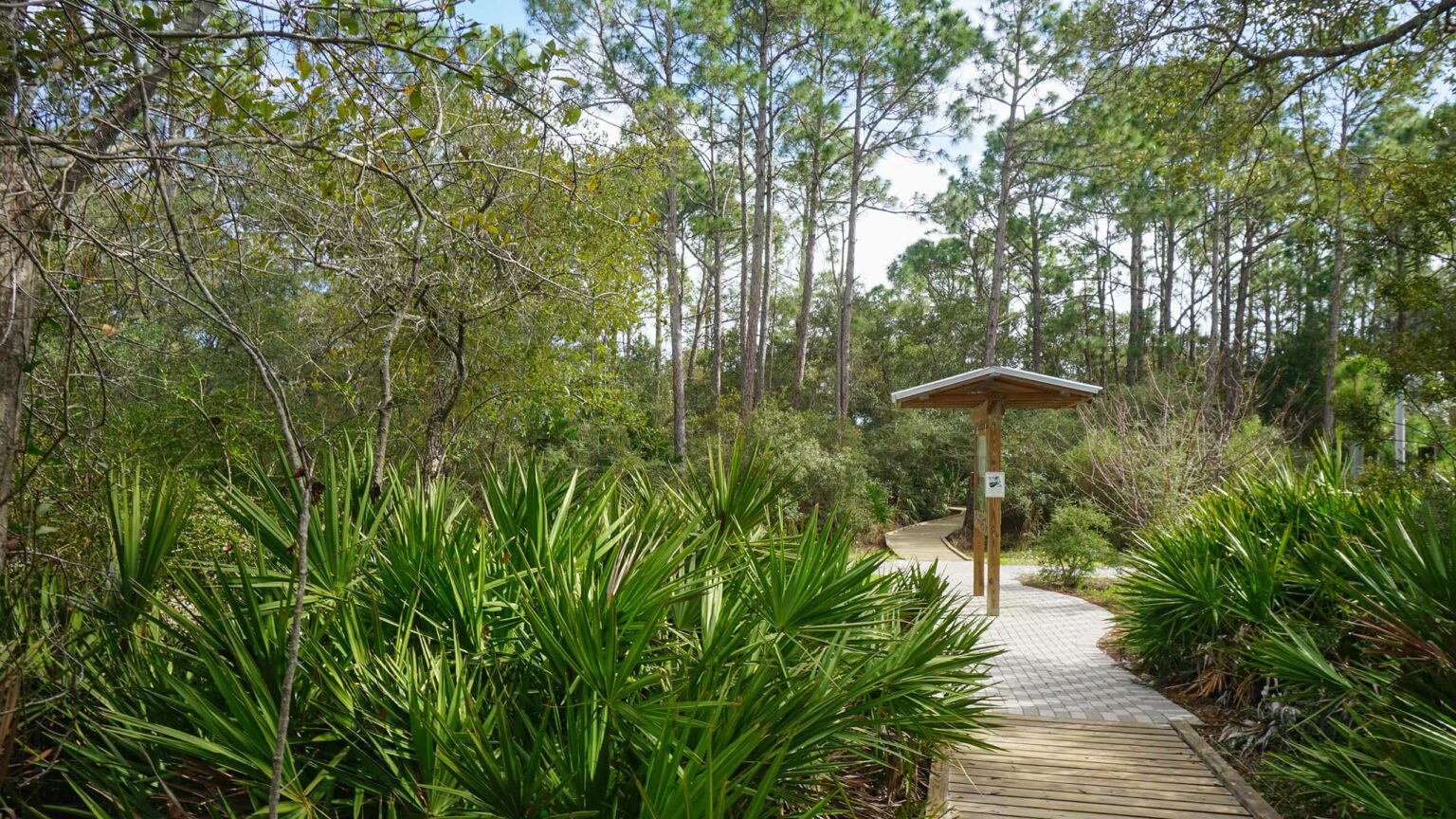 Things to Do in Palmetto, Florida - Gulf Coast Painting SRQ